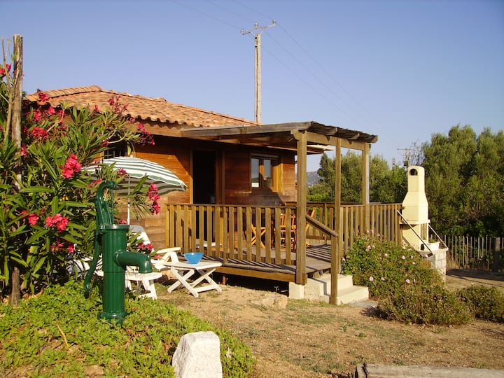 Petite Maison En Bois Exotique - Figari