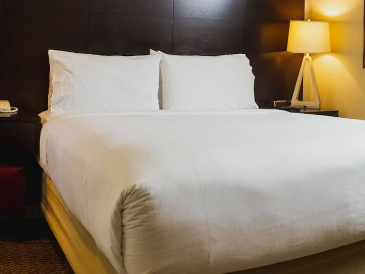 Relax And Unwind! 2 Spacious Units, Pets Allowed! - San Jose