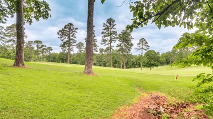 Down To A Tee! On Desoto - Hot Springs Village, AR