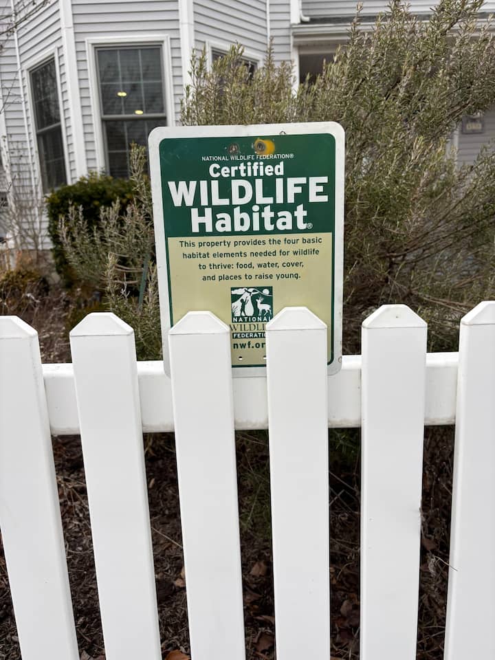 Tranquil Gardens-cape May-5-bedrooms/3 Baths - Cape May, NJ