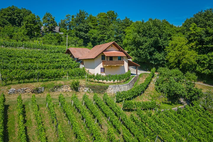 Vineyard Cottage Ucman - Happy Rentals - Šmarješke Toplice