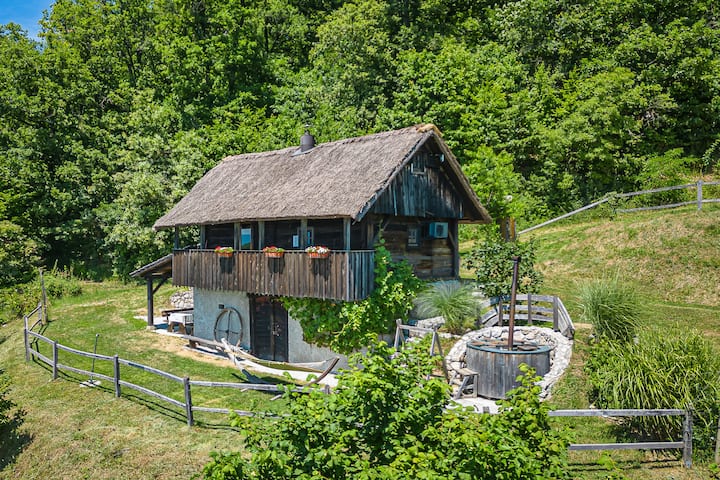 Vineyard Cottage Pavlin 1 - Happy Rentals - Novo mesto