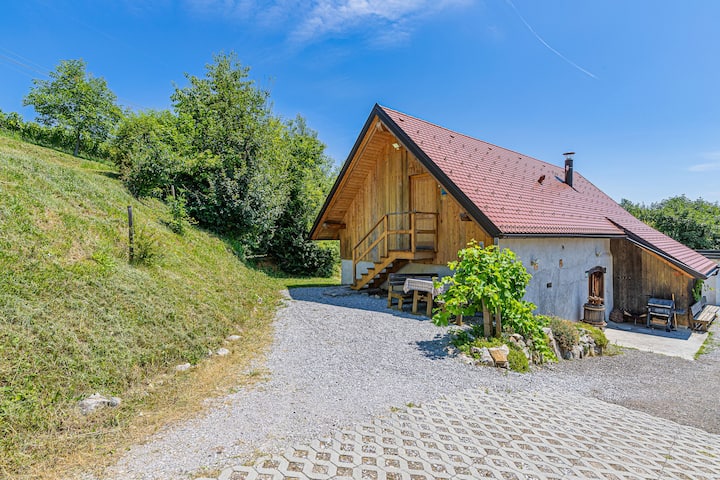 Vineyard Cottage Pavlin 3 - Happy Rentals - Novo Mesto
