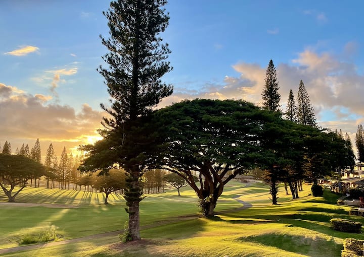 Perfect Golf Retreat In Your 1bd Villa Getaway - Kapalua, HI