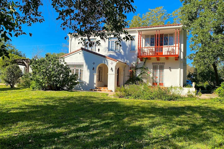 5br Historic Home With Pool & Game Room - Dogs Ok - Alamo Heights, TX