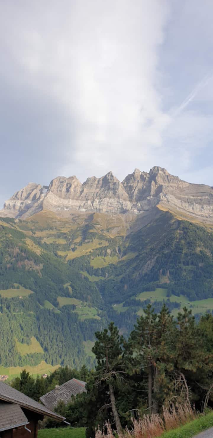Chalet Le Grenier Des Crosets - Vue Exceptionnelle - Val-d'Illiez