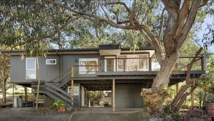 Whispering Gums Ocean Views Pet Welcome Ev Charger - Lorne