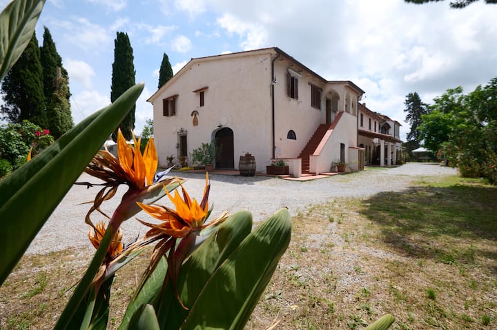 Antichi Palmenti - Erica - Campiglia Marittima