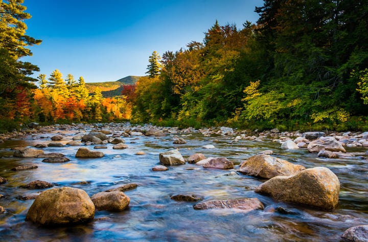 Soak, Stroll, And Stay Creekside - Red Lodge, MT