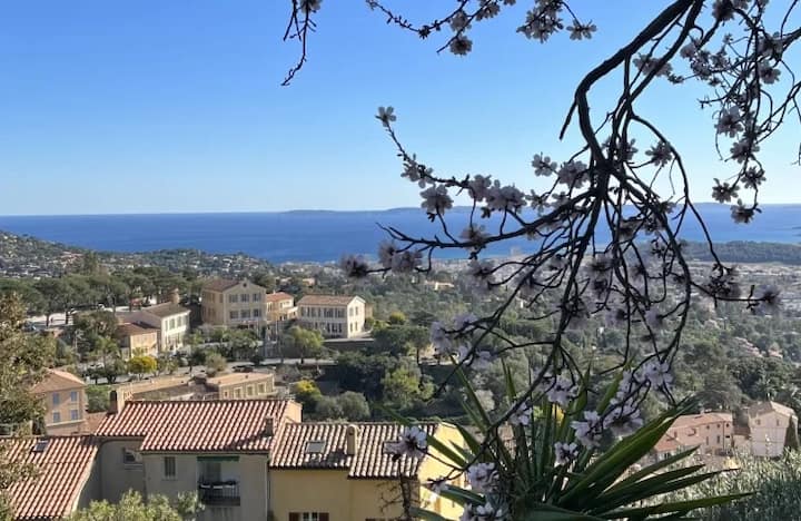 Appartement Bormes Les Mimosas - Bormes-les-Mimosas