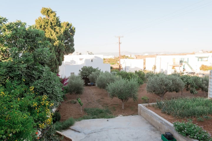Naousa Central House Paros - Paros