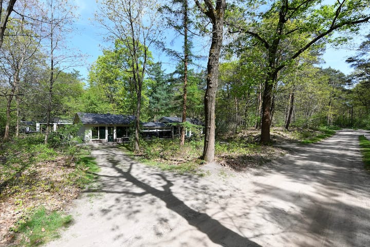 Forest House Tine - Ede