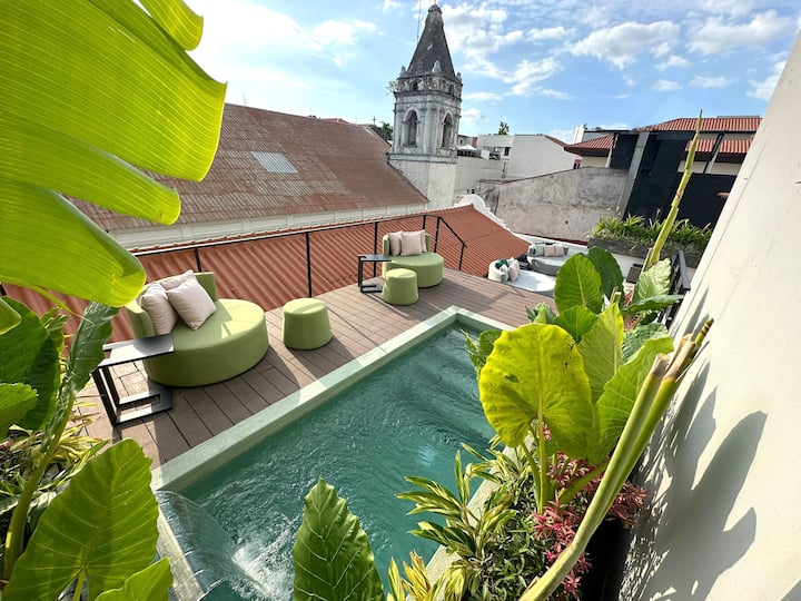 Increíble Apartamento De Diseño Con Piscina Y Roof - Panama City