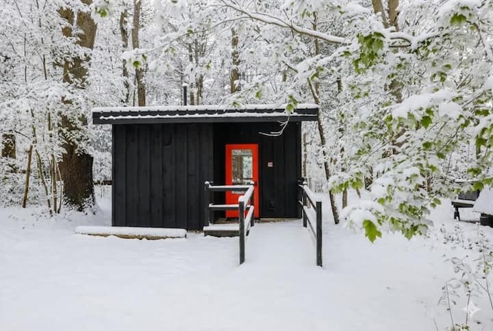 Modern, Luxurious, Cabin In The Woods - 17 - Freeport