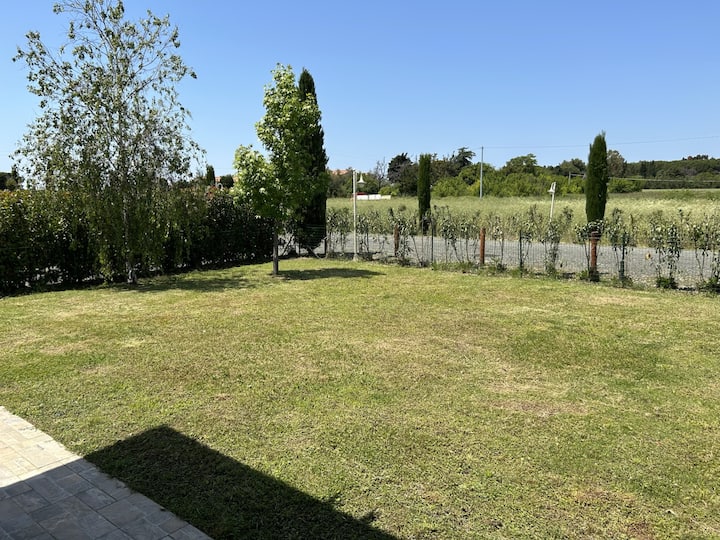 Fattoria Palazzeta Giardino Piscina Campagna Mare - Cecina