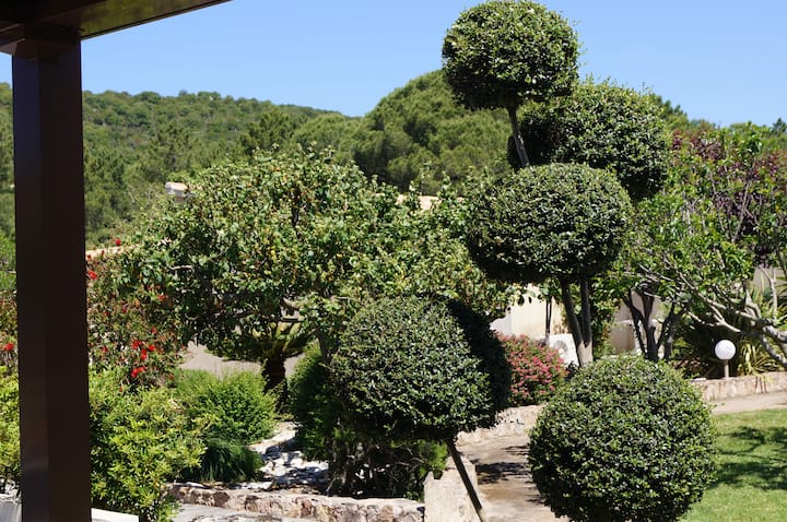 Les Jardins De Santa Giulia - Charmante Chambre D' - Santa Giulia