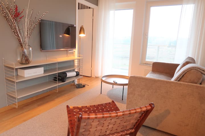Luxury Business 2 Rooms Apartment Up To 3 People B - Stockholm