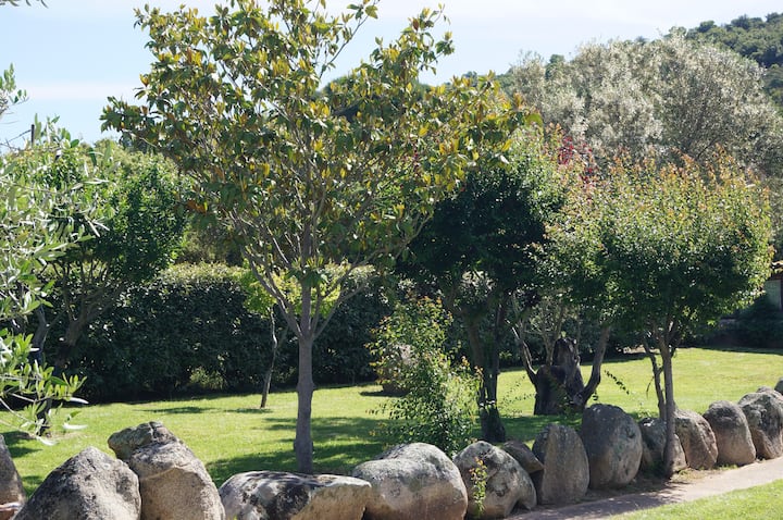 Les Jardins De Santa Giulia - Charmante Chambre D' - Santa Giulia