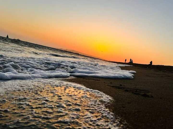 Shaggy Seahorse:beach~bay~2ndst~fast Wi-fi+pets Ok - Long Beach, CA
