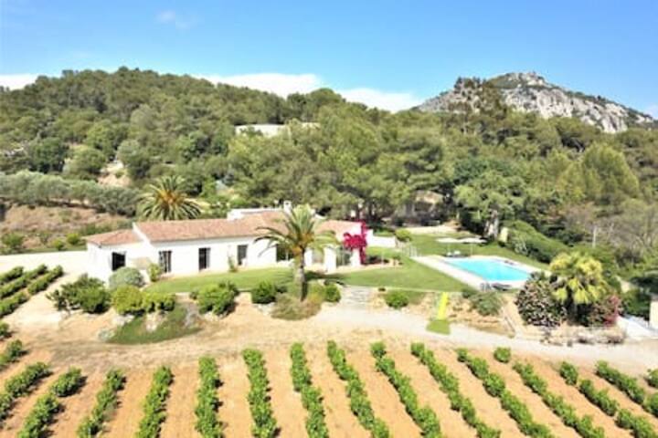 Le Domaine Des Vignes-spacieuse Villa Piscine Clim - Le Pradet