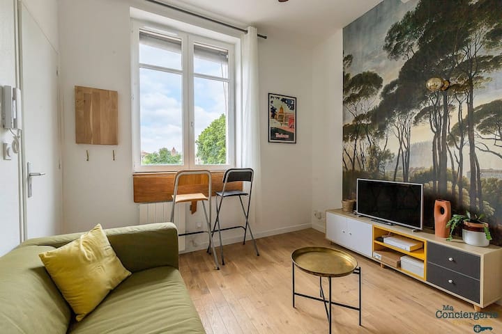 Artiste Vue Sur Quai De La Garonne - Hypercentre - Toulouse