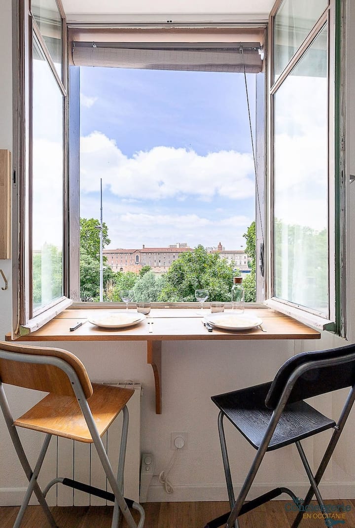 Artiste Vue Garonne Hyper-centre Toulouse - Toulouse