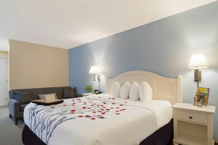 Ocean View King - St. Augustine, FL