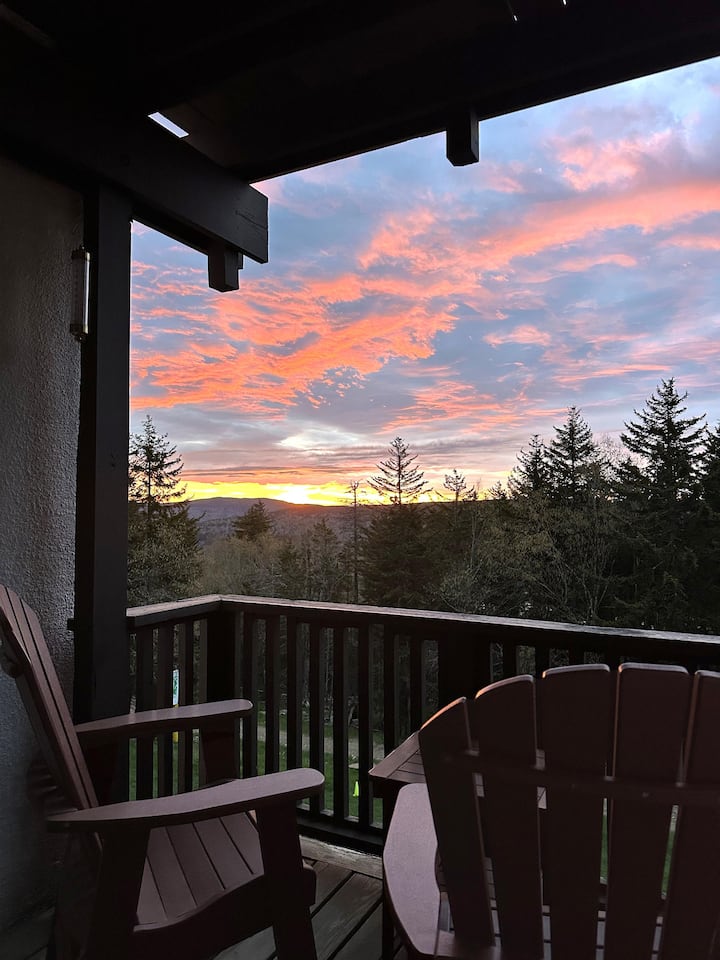 Wp 2: "Bigfoot Bungalow" Dog-friendly, King Bed! - Snowshoe Mountain Resort, WV