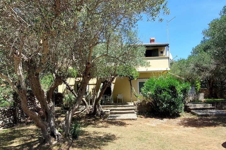 A-21464-a Appartement De Deux Chambres Avec Le - Cres