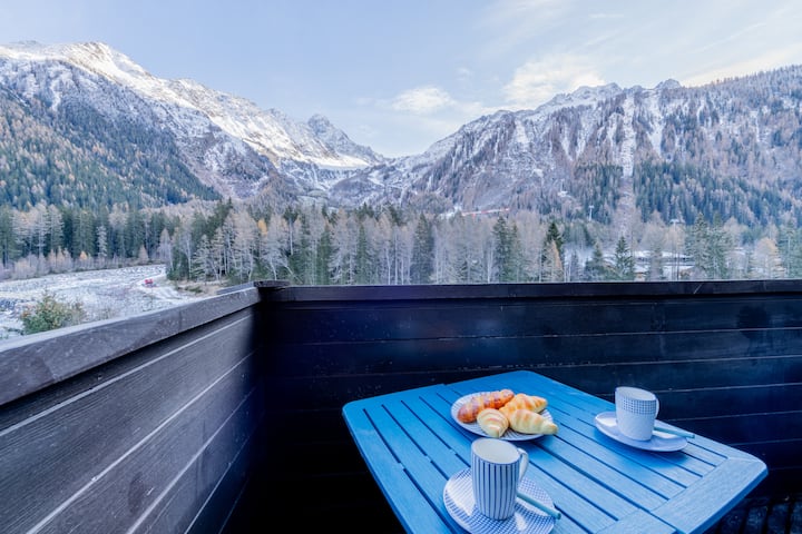 Résidence Grand Roc - Campanules 319 - Chamonix-Mont-Blanc