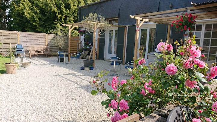 Le Black Dog (Chambre4) - Mûr-de-Bretagne