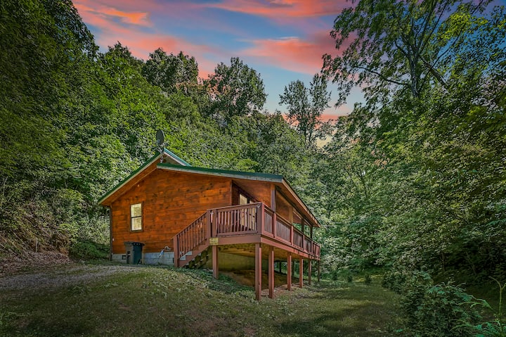 Smoky Mountains Honeymoon Cabin Dog Friendly - Sevierville, TN