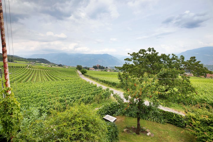 Harmony Apt 2 - Bolzano