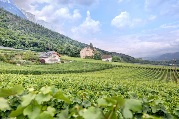 Harmony Apt 2 - Bolzano