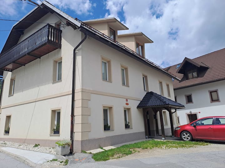 Apartment Danica In Kranjska Gora - Kranjska Gora