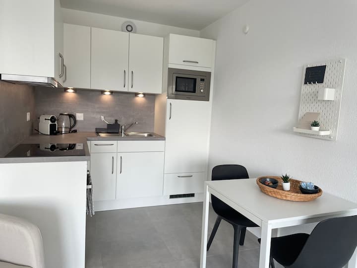 Newly Renovated Studios In Basel City + Basel Card - Basel