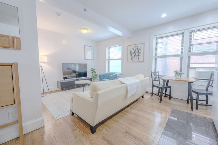 Modern 1brs Steps From Boston Common + South End - Boston, MA