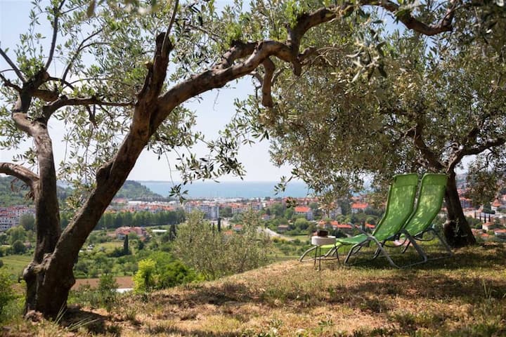 Istrian Stone House With Garden & Amazing Views - Portorož