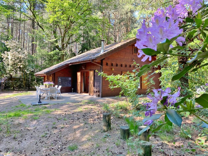 Chalet Adapté Aux Enfants Dans Les Bois - Lille