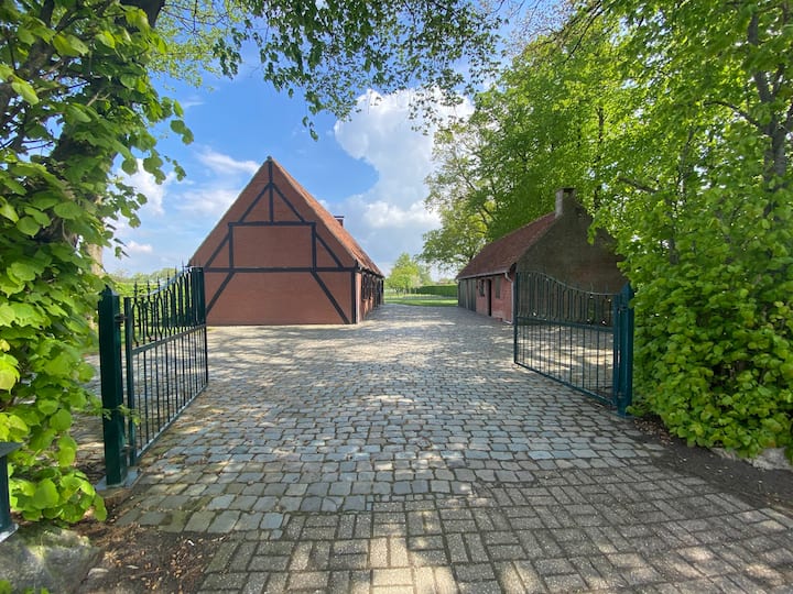 Maison Entourée De Bois Et De Prairies - Lommel