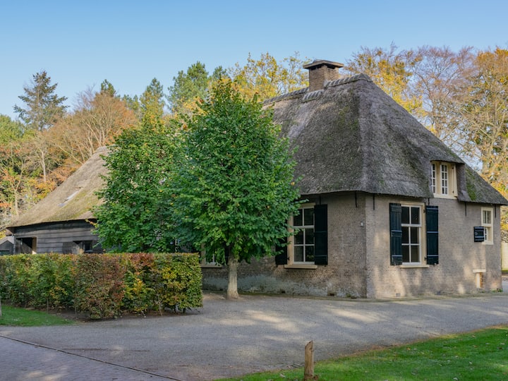 Ferme Au Toit De Chaume Dans La Forêt - Hoogstraten