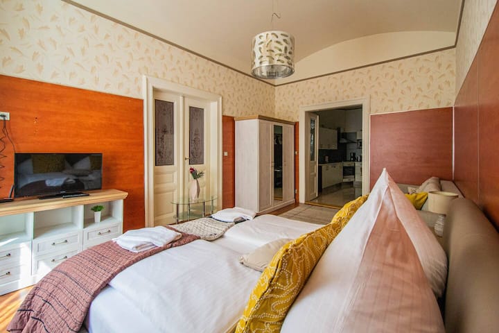 Central 2bdr Flat Behind Museum - Prague