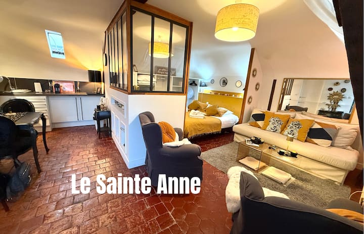 Le Sainte-anne Grand Studio Hypercentre Orléans - Loiret