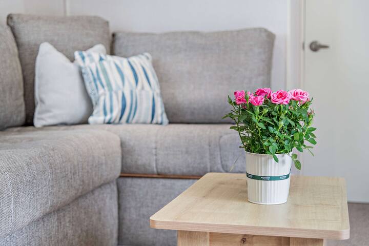 Maple Brook Gorgeous Holiday Lodge Near New Forest - Milford on sea