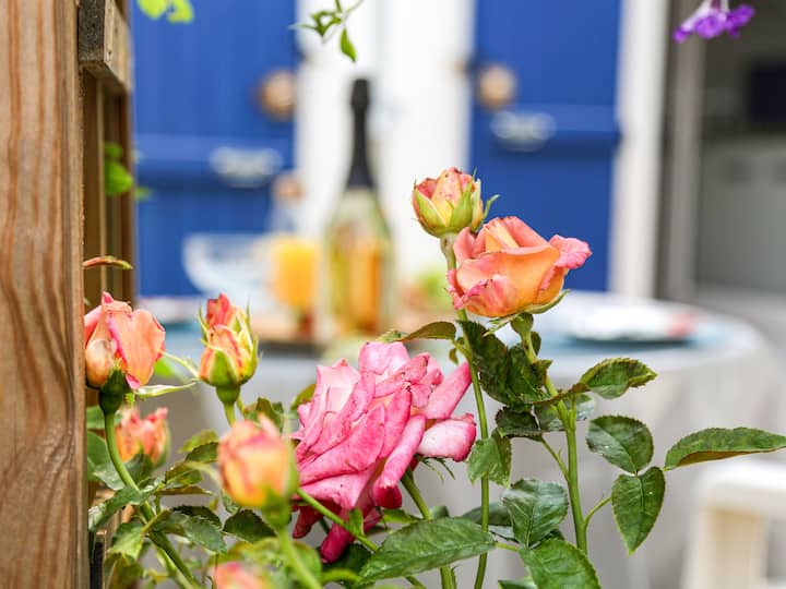 Jardin Secret By Interhome - Saint-Michel-Chef-Chef