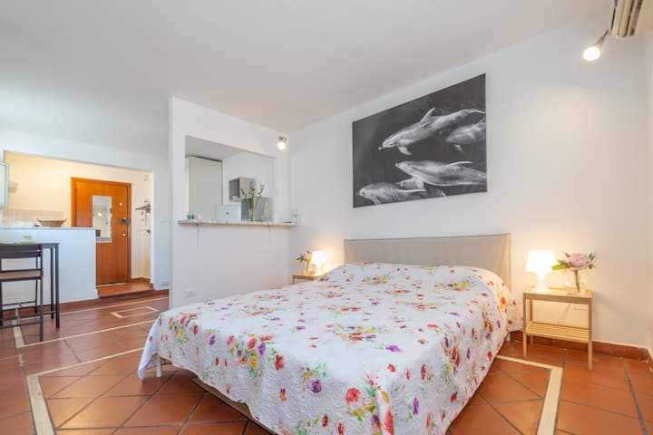 Casa Pizzi - [Pescara Centro] - Pescara