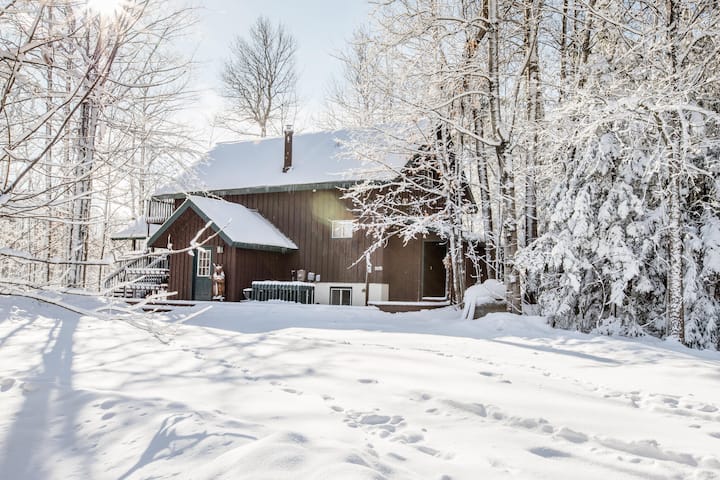 Ski Inn - Michigan