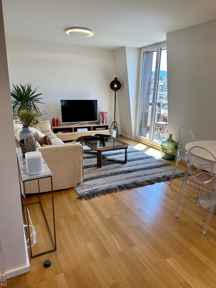 Top Floor Bright 1 Bedroom Apartment In Eaux-vives - Genewa