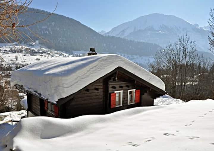 Maxima / 3 1/2 Zimmer Chalet - Ernen