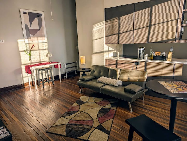 Downtown Richmond Retreat Near Convention Center ! - Richmond, VA